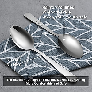 Tea Spoons Set, Bestdin Teaspoons Set of 24, Stainless Steel Small Spoons, Tea Spoons Silverware for Home Kitchen Restaurant, Flatware Dinner Spoons, Dishwasher Safe (5.9 Inch)