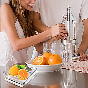 Fuzion Small Kitchen Scale, 500g/ 0.01g Small Gram Weight Scale, Precision Lab Scales Digital Weight Grams and Oz, Digital Gram Scale, Jewelry Scale with LCD, Small Food Scales for Kitchen