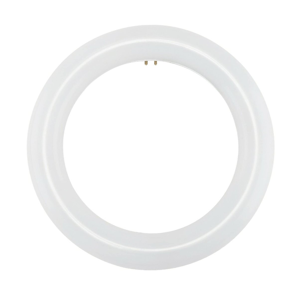 NYLL - 8 Inch/ 8" Plug & Play T9 Circline LED Lamp - Daylight (6000K) Circular Bulb Directly Relamp & Replace 22 Watt Fluorescent Bulb FC8T9/D (without rewiring or modification) - Ballast Required!