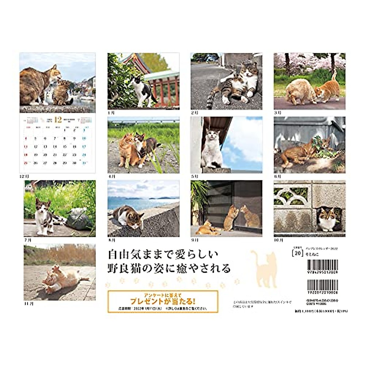 そとねこ (インプレスカレンダー2022)