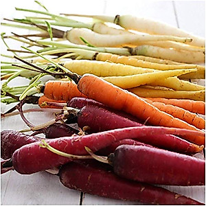 David's Garden Seeds Carrot Rainbow Blend FBA-9334 (Multi) 200 Non-GMO, Heirloom Seeds