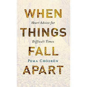 When Things Fall Apart: Heart Advice for Difficult Times