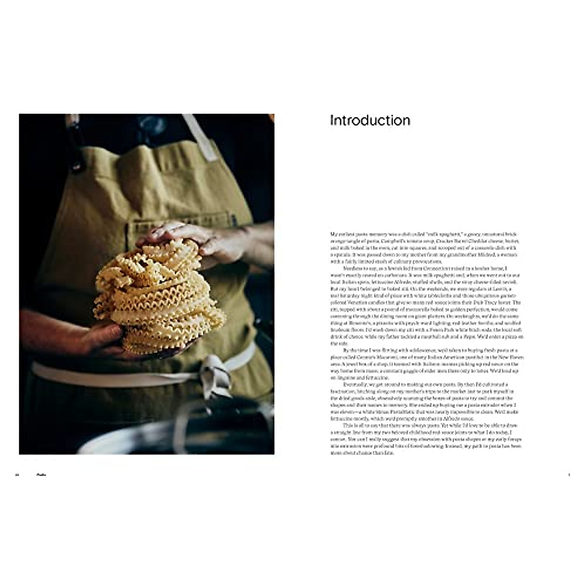 Pasta: The Spirit and Craft of Italy's Greatest Food, with Recipes [A Cookbook]