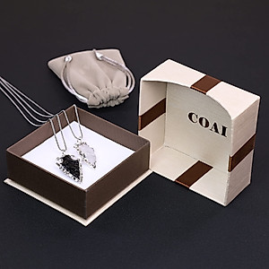 COAI Arrowhead Raw Obsidian Clear Quartz Stone Pendant Necklaces for Couples