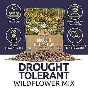 Sweet Yards Seed Co. Drought Tolerant Wildflowers Mix – Extra Large Packet – Over 7,500 Open Pollinated Non-GMO Seeds – 21 Different Dryland Species!