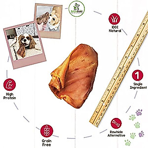 Nature Gnaws Pig Ears for Dogs - Premium Natural Pork Dental Chews - Thick Long Lasting Dog Chew Treats for Aggressive Chewers - Rawhide Free 8 Count (Pack of 1)