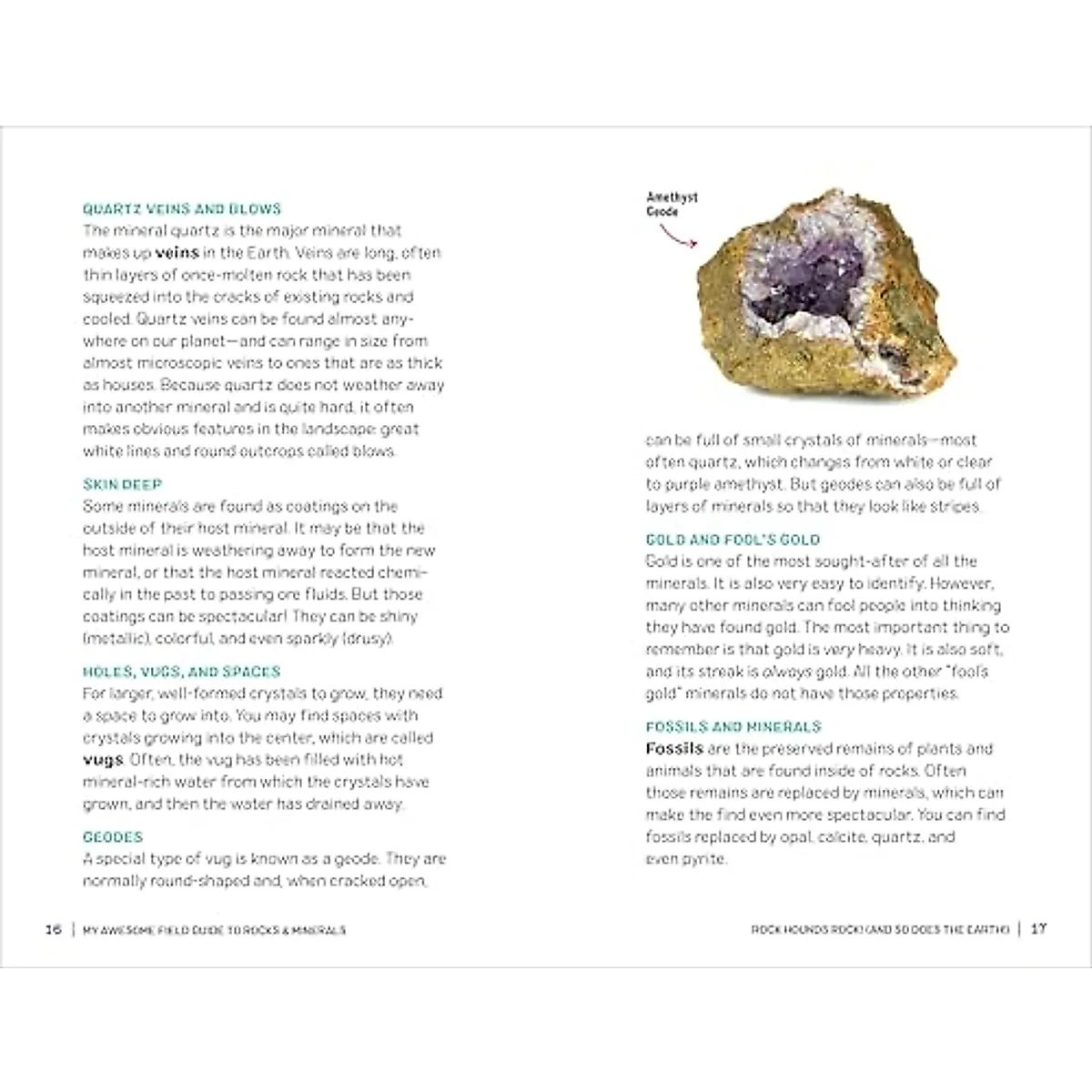My Awesome Field Guide to Rocks and Minerals: Track and Identify Your Treasures (My Awesome Field Guide for Kids)