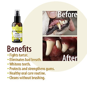 Teliapets Oregano Dental Care Spray for Pet's Teeth & Gums - Natural Dog's & Cat's Teeth Cleanser - Bad Breath, Plaque, Periodontitis & Gingivitis Fighter -Quick & Simple Oral Relief - 30ml / 1oz