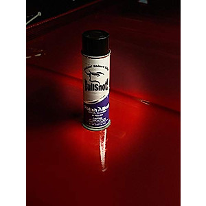 BullSnot! PolishABull Detail Cleaner & Polish