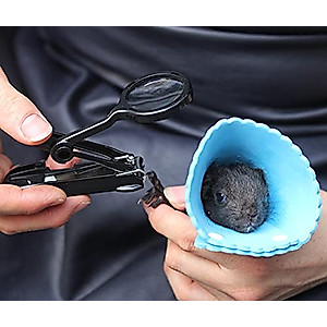 Guinea Pig Nail Clippers with Magnifying Glass Stainless Steel Claw Toenail Trimmer for Small Animal Hedgehog Rabbit Hamster Ferret Hamsters Chinchilla Sugar Glider Pet Grooming Supplies (Black)