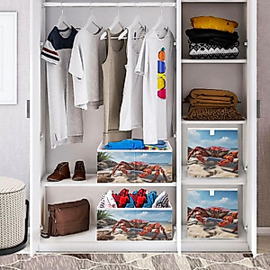 YMGQYJ Collapsible Storage Cube Beach Crab Print, Organizing Baskets with Reinforced Board for Shelf Closet Cabinet 11×11×11 IN