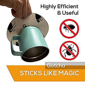 Gotcha! 12 Pack Flea Trap Refill Discs | Sticky Traps Glue Board Refills | Non-Toxic | 7.1 Inch | Eco-Friendly | Family and Pet Safe | Fits Ultimate Flea Trap Aspectek Qremove Victor