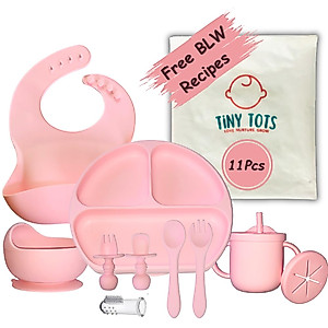 TinyTots Silicone Baby Feeding Set 13 pcs with BLW Recipes. Baby Plates and Bowls Set, Baby & Toddler Spoons Set, Sippy Cup & Lid, Silicone Bib, Baby Toothbrush (6+ Months)