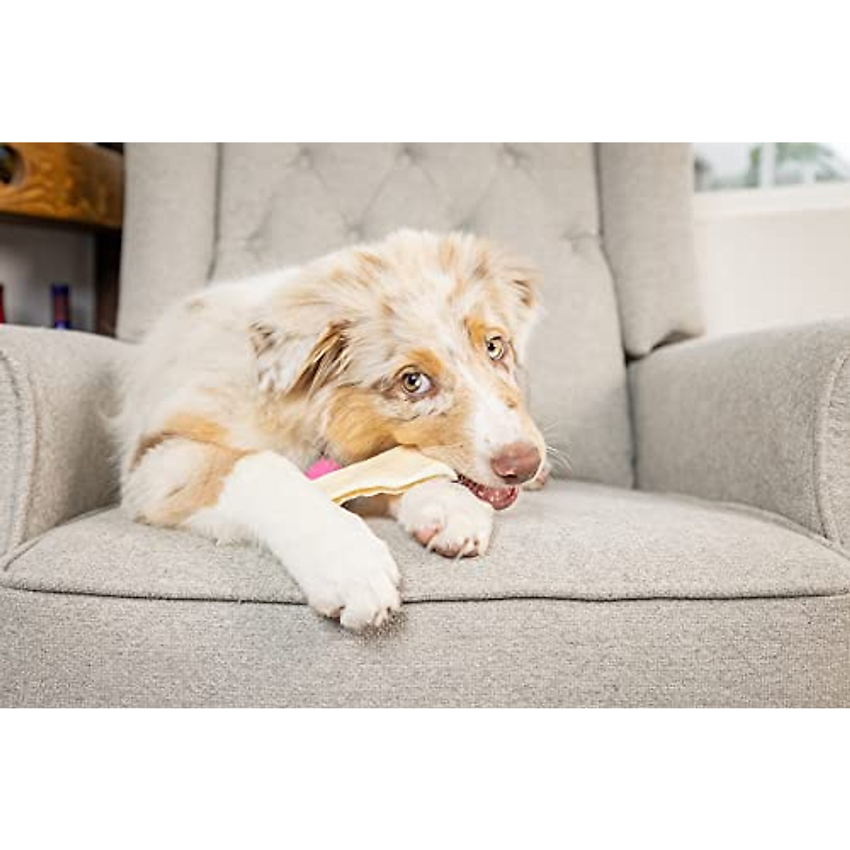 Barking Buddha Beef Cheek Slices - Extra Thick - All Natural - No Additives Gluten Free - Premium Dog Chews | Small 5" - 6" | 30 Pack