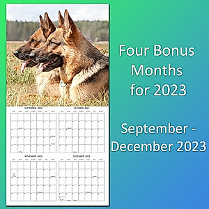 DOGS Monthly Wall Calendar | 12" x 24" | Thick Sturdy Paper | Dog Calendar 2024-2025 (Shepherds)