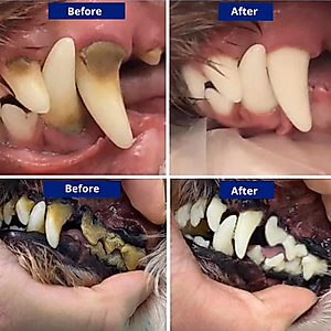 Yunbim Canident Dog Toothbrush, 5 Adjustable Strengths, IPX6 Waterproof, Removes Tartar, Ultra Soft, Reusable, Includes 2 Toothbrush Heads, Black-c