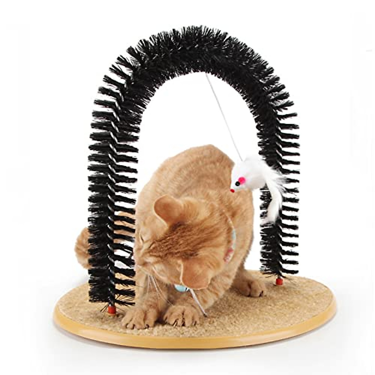 Cat Scratcher,Cat Arch Self Groomer for Indoor Cats,Cat Scratching Post,Pet Face Head Self Grooming Brush,Kitten Hair Massaging Rubbing Brush for Shedding with Bristle & Interactive Hanging Toy