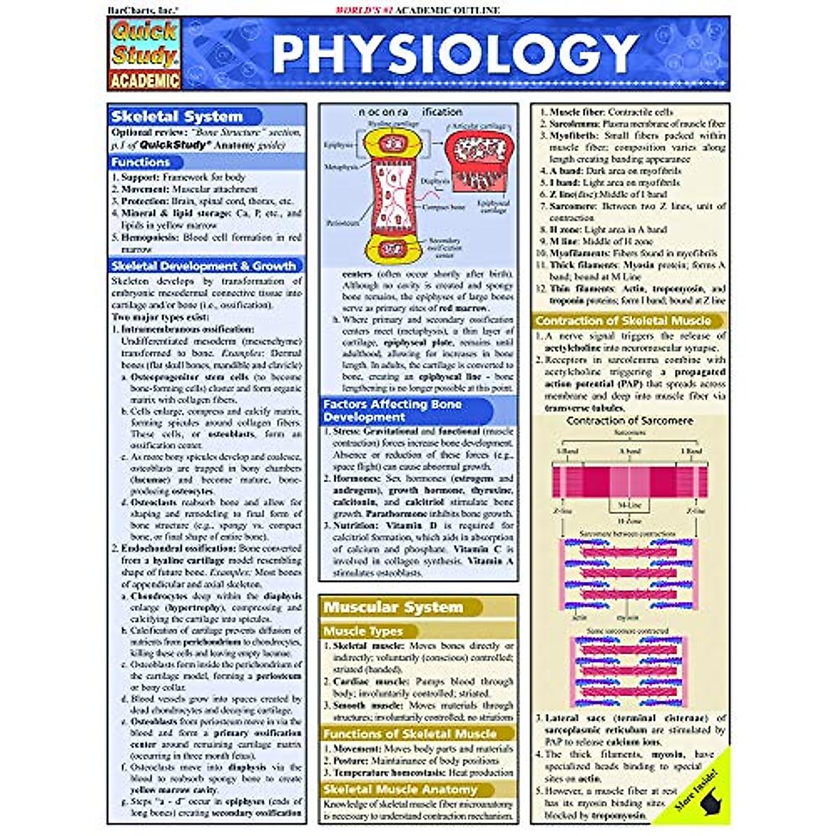 Physiology QuickStudy Laminated Reference Guide (QuickStudy Academic)