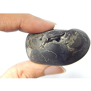 phoenix888 Surya Laxmi Maha Vishnu Buddha Dev Shaligram