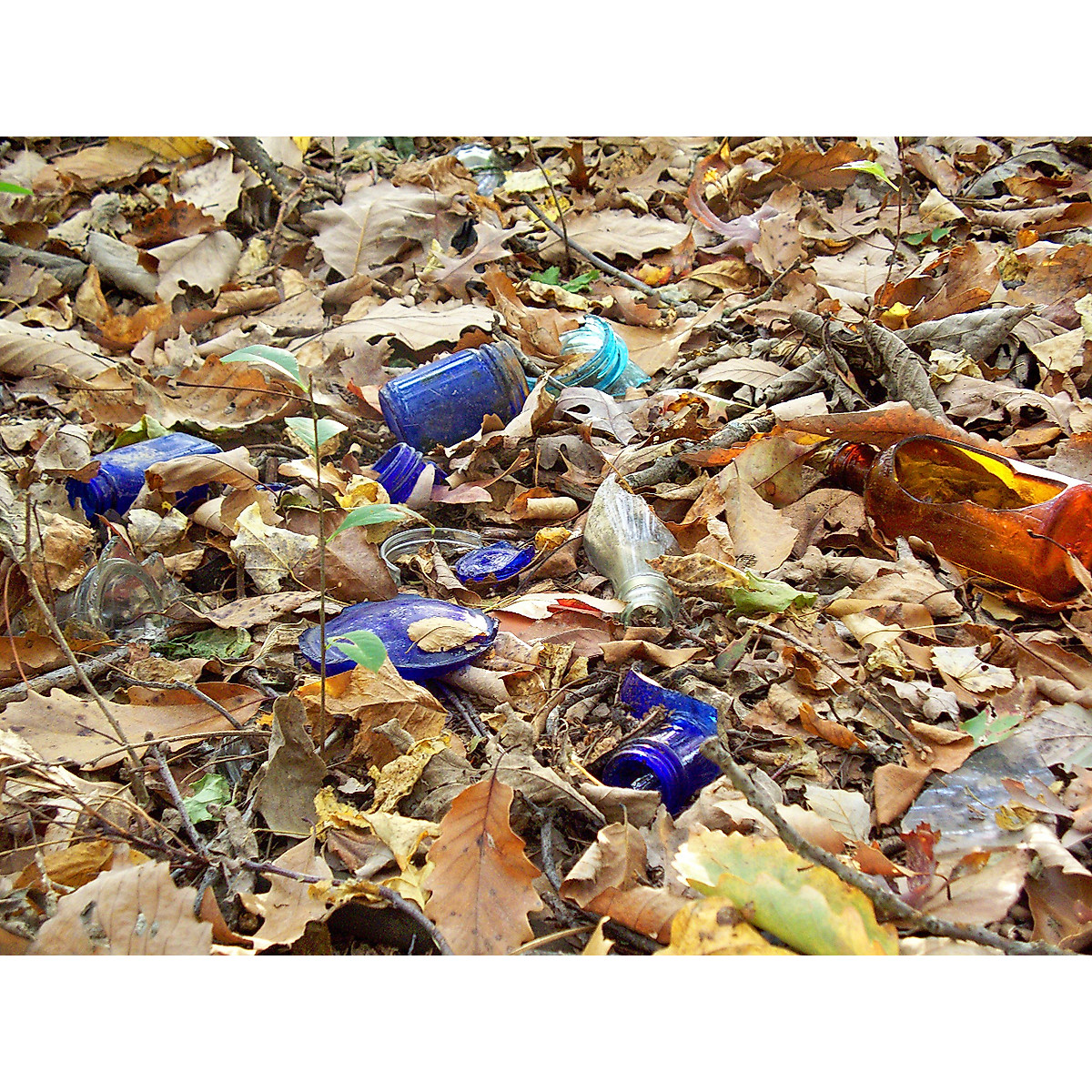 Bottled Up Designs Handmade Vintage Red Leaverback Earrings, Recycled 1940's Beer Bottle Glass, Sterling Silver, Eco Friendly, Made in USA, Birthday Gifts, Mothers Day, Women, Anniversary