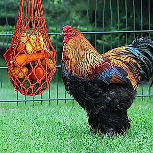 CooShou Chicken Vegetable String Bag Poultry Fruit Holder Chicken Cabbage Feeder Treat Feeding Tool with Hook for Hens Chicken Coop Toy for Hen Goose Duck