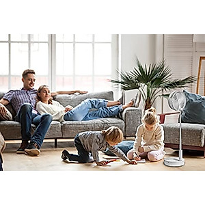 Northern Chill Foldable and Adjustable Fan, for Desks, Floor, and Bedsides, USB and Battery Operated Fan with 2 Speeds, Super Quiet, and Adjustable, Compact and Lightweight for All Occasions (White)