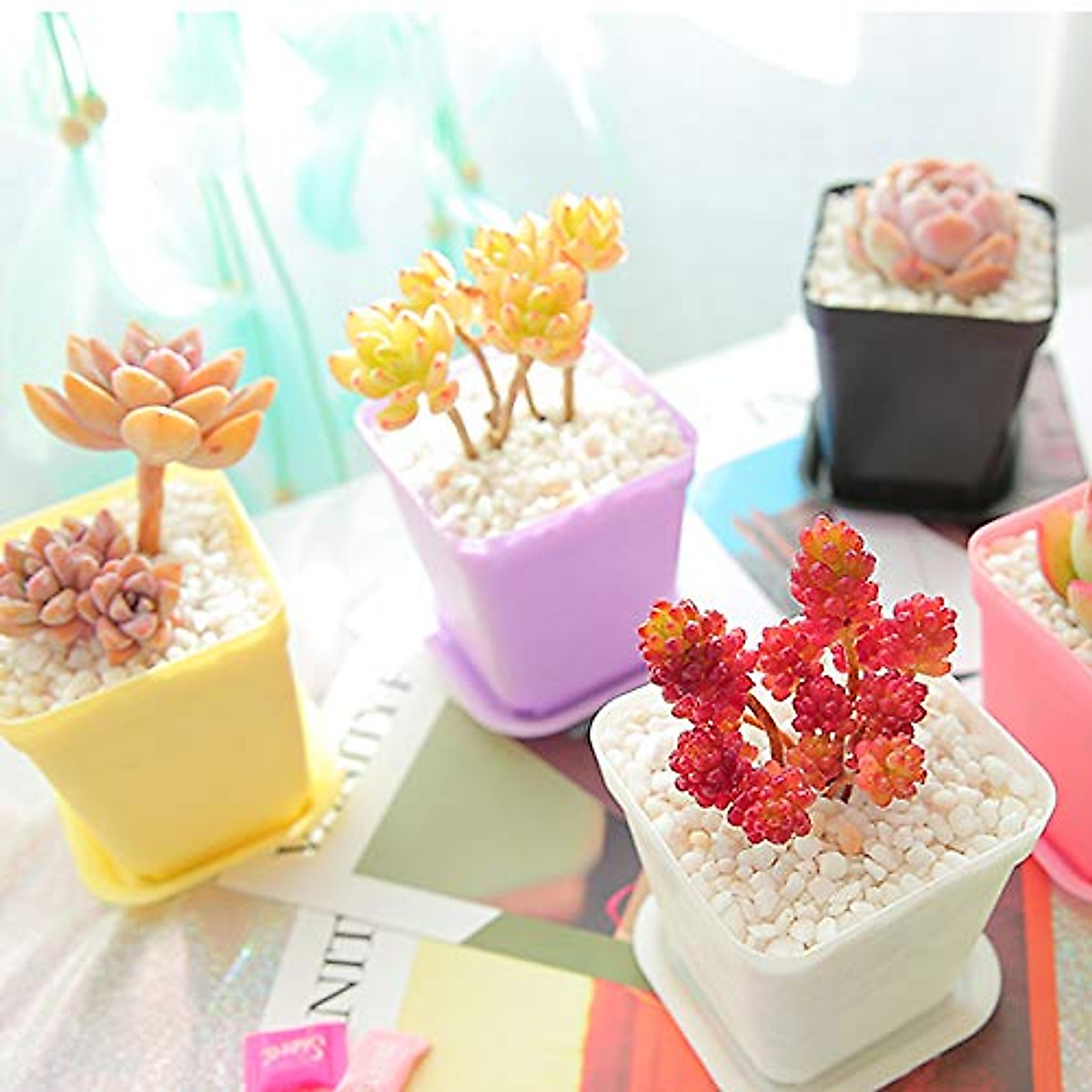 24 Pack Plastic Square Nursery Pots 3 Inch Plastic Plant Pots,Flower Pot with Tray Saucer for Indoor Outdoor Garden Office Decor