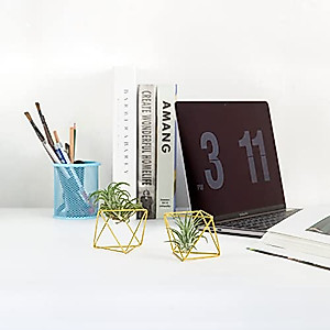 Mkono 5 Packs Air Plant Holder, Same Shape Metal Tabletop Himmeli Decor Geometric Planter Tillandsia Air Fern Display Stand with Each Side 2.6'' Long for Christma Decor Gifts for Plant Lovers, Gold