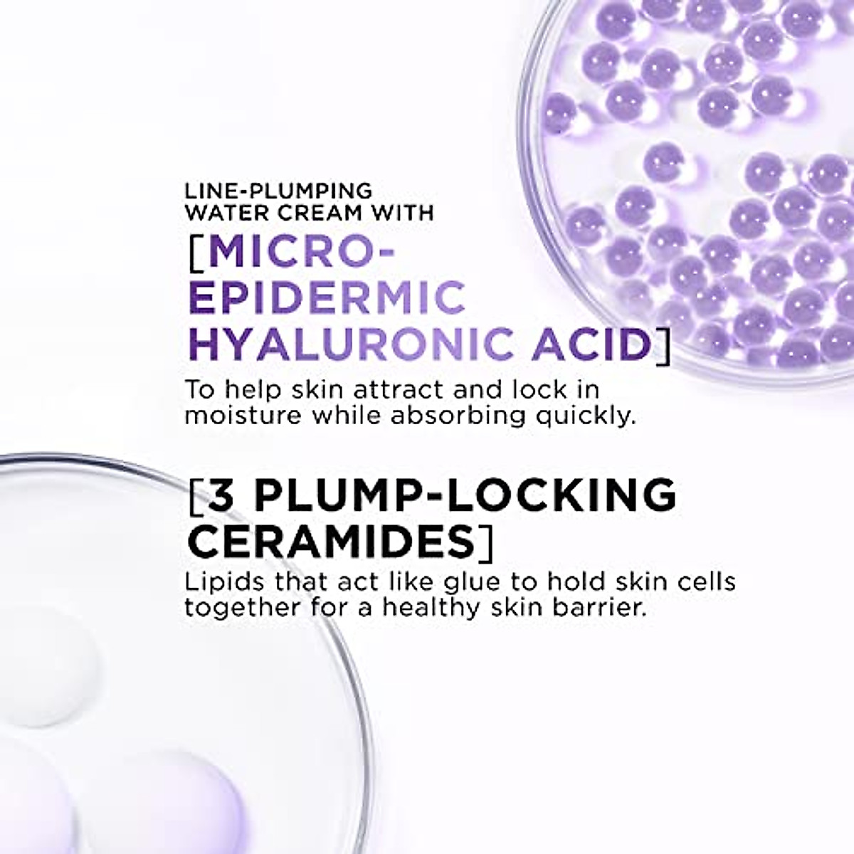 L'Oreal Revitalift Derm Intensives Micro-Hyaluronic Acid + Ceramides Line-Plumping Water Cream