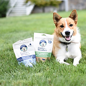 Under the Weather Bland Diet for Dogs | Easy to Digest for Sick Dogs | Always Be Ready | Contains Electrolytes - All Natural Freeze Dried 100% Human Grade Meats | 6 Pack - Multiflavor - 6oz