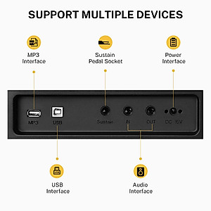 Donner DDP-100 88-Key Weighted Action Digital Piano with Piano Bench, Beginner Bundle with Furniture Stand, Power Adapter, Triple Pedals, MP3 Function, Black