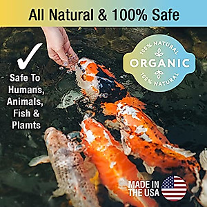 MICROBE-LIFT MLXSAG6 Sludge-Away Pond and Outdoor Water Garden Sludge and Muck Remover, Safe for Live Koi Fish, Plant Life, and Decor, 1 Gallon