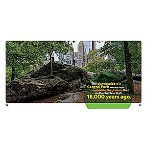 Weird But True! New York City