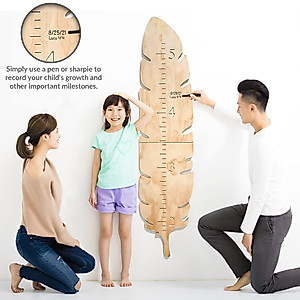 LittleRobbieCo. Wooden Growth Chart for Kids | Feather Design Height Chart for Kids | Natural Pine Laser Engraved Kids Growth Chart for Wall w/Mount | Foldable Kids Height Wall Chart