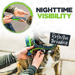 Mighty Paw Chain Dog Leash - Anti Bite Pet Lead - Stainless Steel Links - Reflective Padded Handle - Carabiner Clip - Chew Proof for Strong Dogs - 4’ Dog Walking Chain Leash - Leash Metal (Grey/Green)