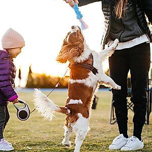 cobee 3 Pack Puppy Teething Chew Toys, Cute Dog Face Teething Chew Toy with Interactive Cotton Ropes for Dogs Oral Teeth Sotthe Itching(Pink, Blue, Yellow)