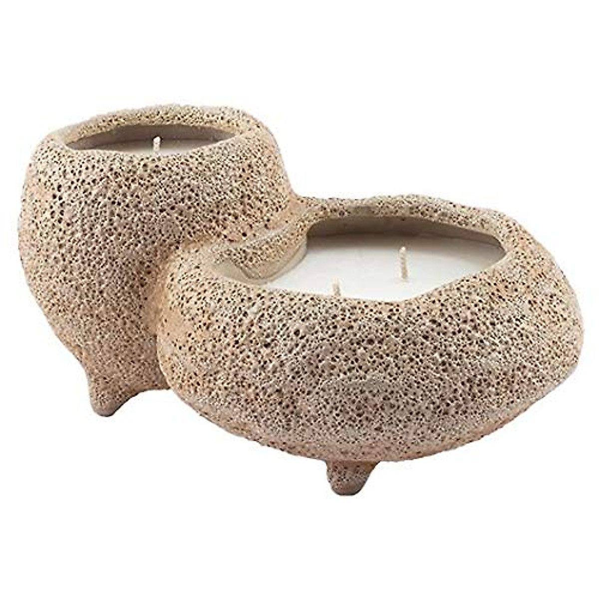 Northern Lights The Sill Agave Nectar & Dune Primrose Candle / Planter 16oz 52755