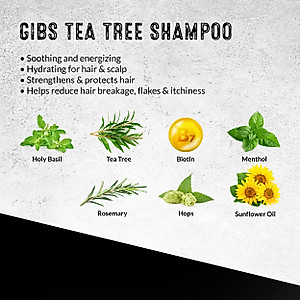 GIBS Tea Tree Shampoo & Conditioner Set, Each 12 fl oz