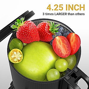 Cold Press Juicer - 4.25 IN Large Feed Chute Juicer Machine for Whole Fruit - Anti Drip Slow Juicer with Reverse Function - Masticating Juicer with Double-Layer Filter, Quiet Motor, Black