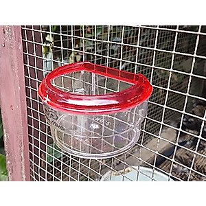 Fast Life Plastic Bird Water Cups Feeder