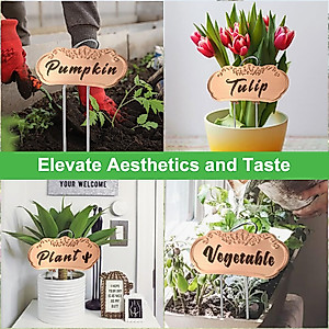 TCYPUHL Metal Plant Labels, Tall Plant Labels, Garden Labels Outdoors for Flower, Fruit and Vegetable, Stainless Steel, Weatherproof (25 Pack, 4'' x 1.10'', Gold)