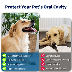 Ganciu Plaque Remover for Teeth,Dog Tooth Cleaning Kit,3 Modes Ultrasonic Dog Tartar Remover for Teeth with LED Light,Low Noise Dog Teeth Cleaning Tool for Pet Dental Care,White