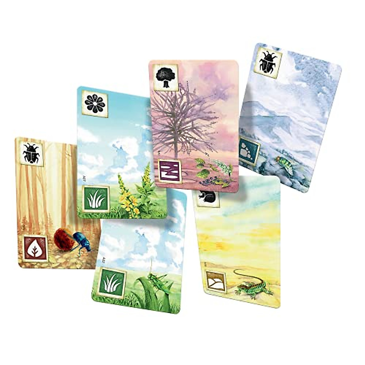 Meadow Board Game - Nature Observing Drafting and Set Collection Game, Strategic Exploration, Fun Family Game for Kids & Adults, Ages 10+, 1-4 Players, 60-90 Minute Playtime, Made by Rebel Studio