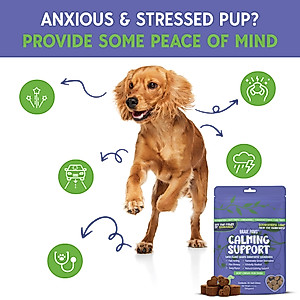 Calming Chews for Dogs Anxiety | Puppy & Dog Anxiety Relief Treats with Natural Souroubea | Calm Aid During Stress, Thunder, Storm, Separation, Car Travel, Motion, and Fireworks | Beef Flavor