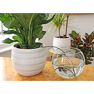 Blumat Classic Plant Watering Stakes | for Everyday Home or Vacation Use | Indoor or Outdoor Water Spikes for Plants | Automatic Drip Irrigation (3 Pack)