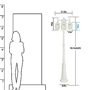 PARTPHONER 3-Head Outdoor Lamp Post Light Birdcage, Waterproof Outside White Street Light Pole with Clear Glass Shade for Yard, Garden, Patio, Path, Driveway