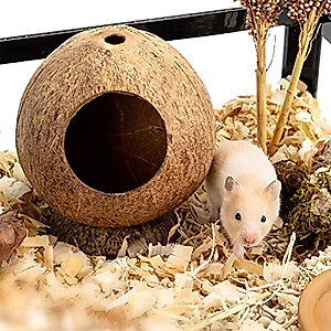 Ostein Natural Coconut Hut Hamster House Bedfor Gerbils Mice Small Animal Cage Habitat Decor,Pet Cave Small Animal Cage Habitat Decor Hanging Guinea Pig