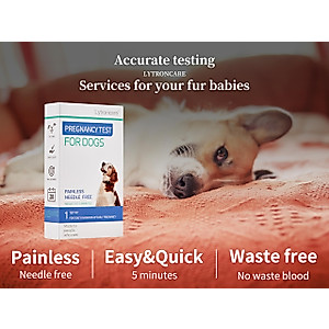 Dog Pregnancy Test at Home, 98% Accuracy, Painless to get Sample No Equipment Required Qucik Result at 5 Minutes Easy NO Mess