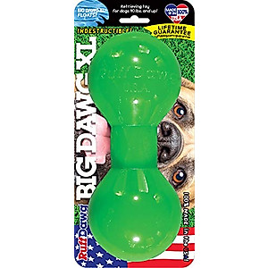 Ruff Dawg Big Dawg - Indestructible Dog Toy for Rough Play - Barbell Shape Bounce for Chase, Catch - Shred-Resistant Plastic - Colors Vary - 2 Toys