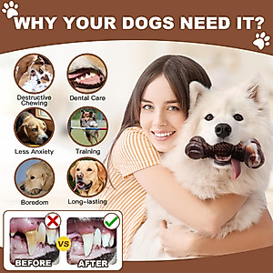 Anoodi 2 Pack Dog Chew Toys for Aggressive Chewers, Nylon Indestructible Large Dog Toys for Small Medium Dogs, Durable Interactive Dog Bone Chew Toys to Keep Them Busy, Real Beef & Bacon Flavored